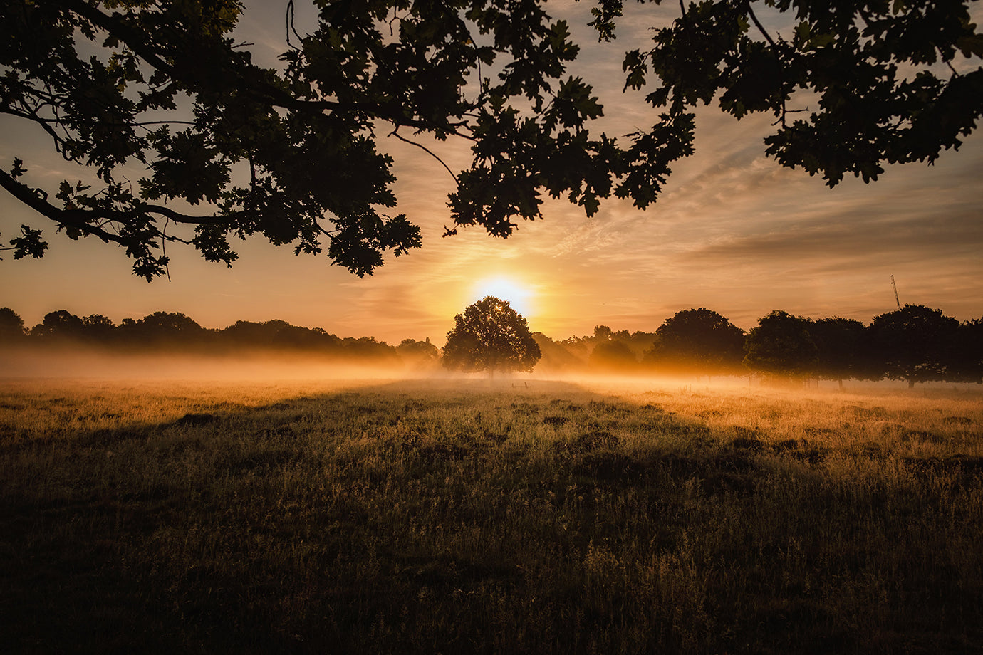 What Is Rewilding: How to Support Rewilding Projects | Eagle Creek