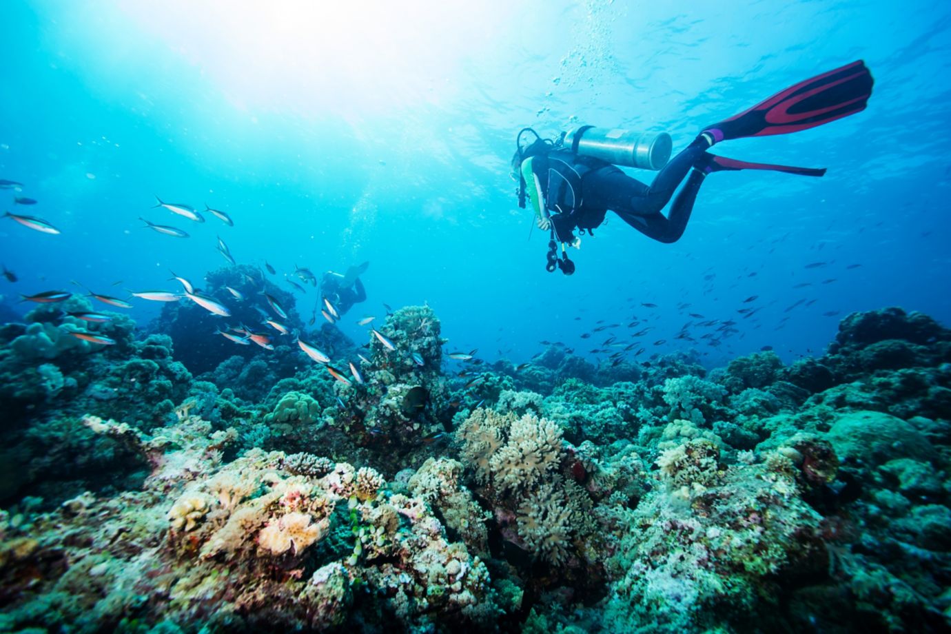Where to Find the Best Caribbean Scuba Diving | Eagle Creek